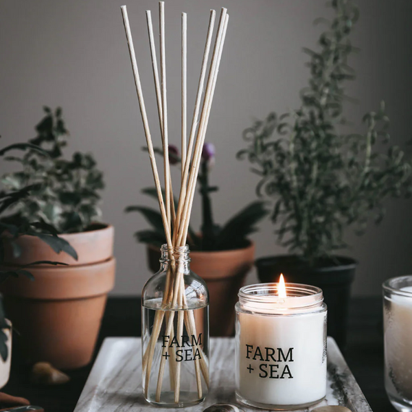 Reed Diffuser - Beach Girl – Darilynn's