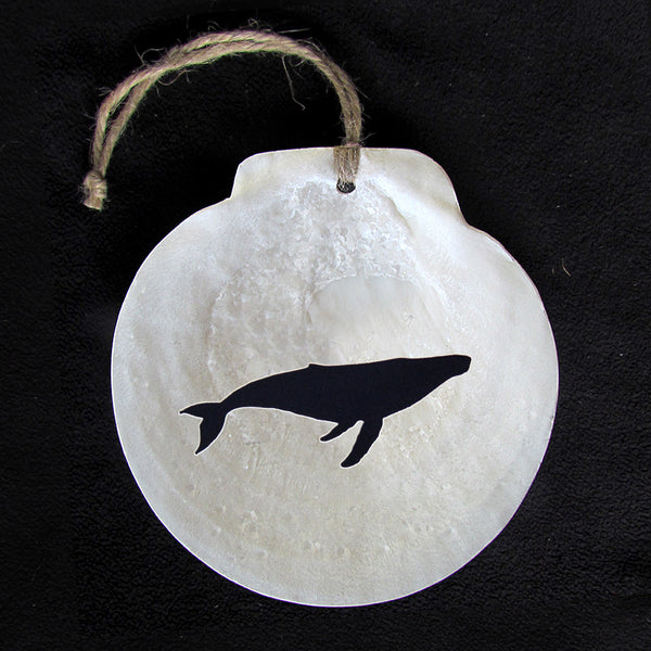 Scallop Shell - Humpback Whale – Darilynn's