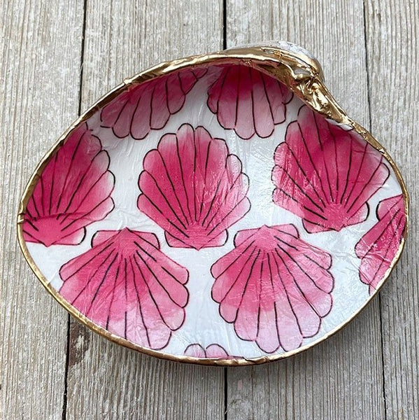 Clam Shell - Pink Shell – Darilynn's
