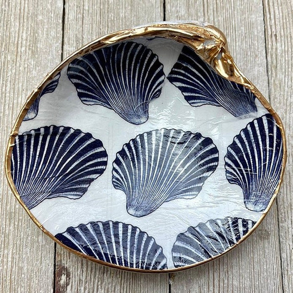 Clam Shell - Blue Shells – Darilynn's